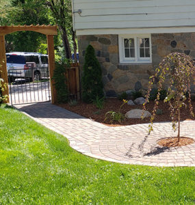 Lawn Reno - Lawn Reno